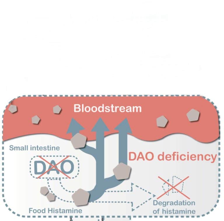 DAOfood® Plus: Dietary management of histamine symptoms caused by DAO ...
